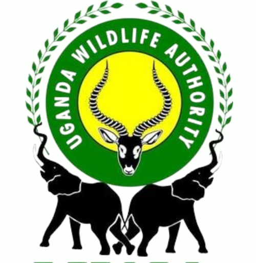 Types of Gorillas - Gorilla Safaris & Tours